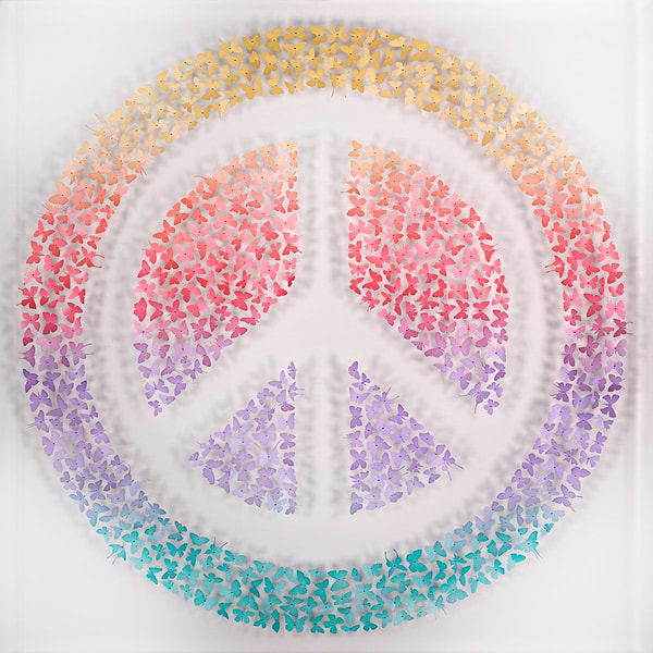 Peace Maker | Charles Patrick - Clarendon Fine Art