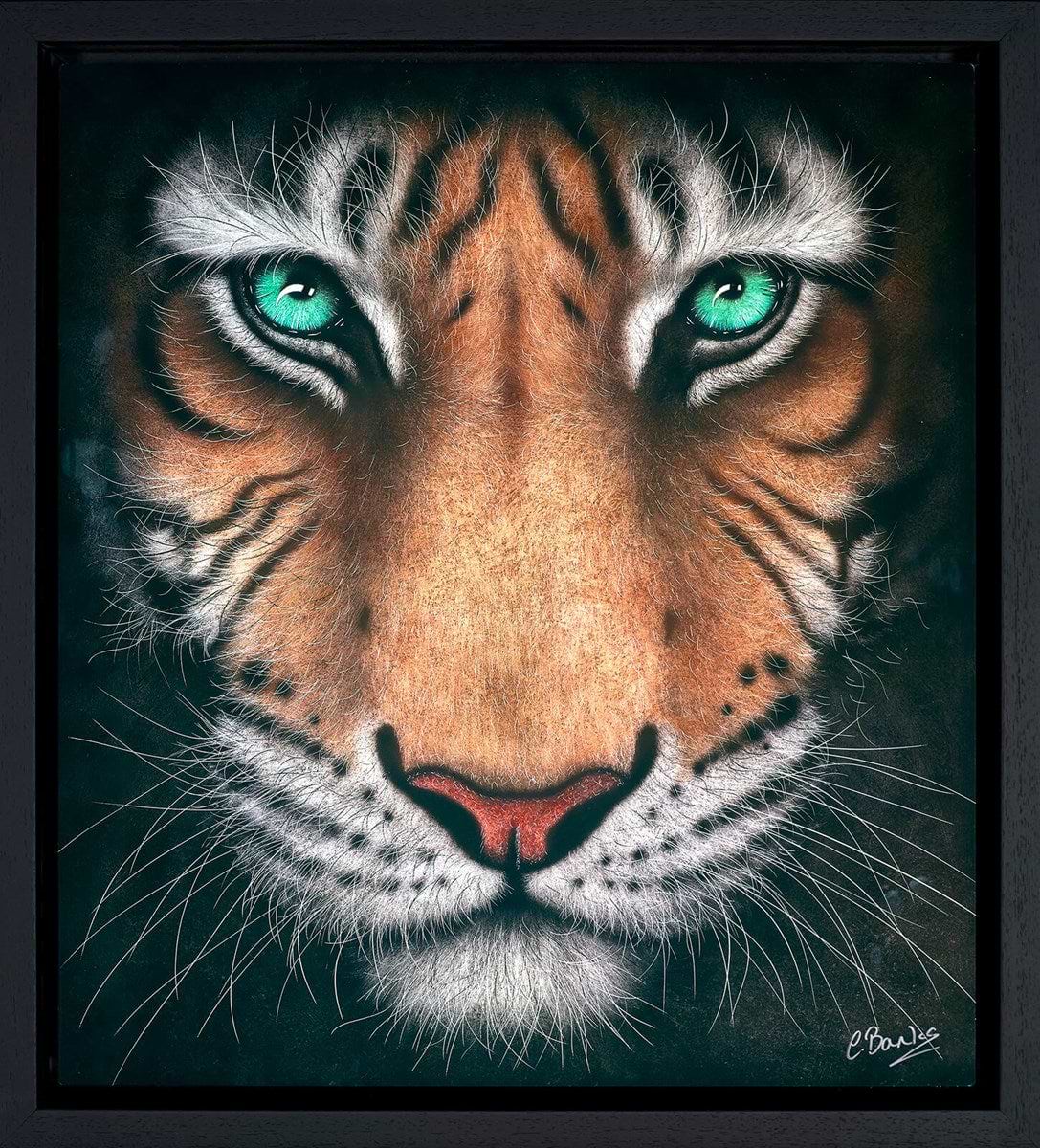 Eyes tiger store